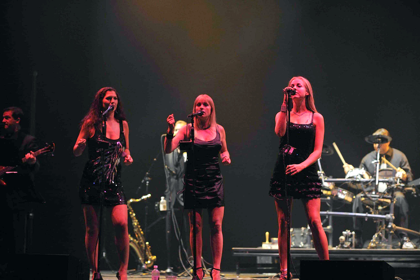 The Grooves - Entertainment Houston
